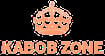 Kabob Zone | Best Restaurant in Virginia | Restaurant near me
